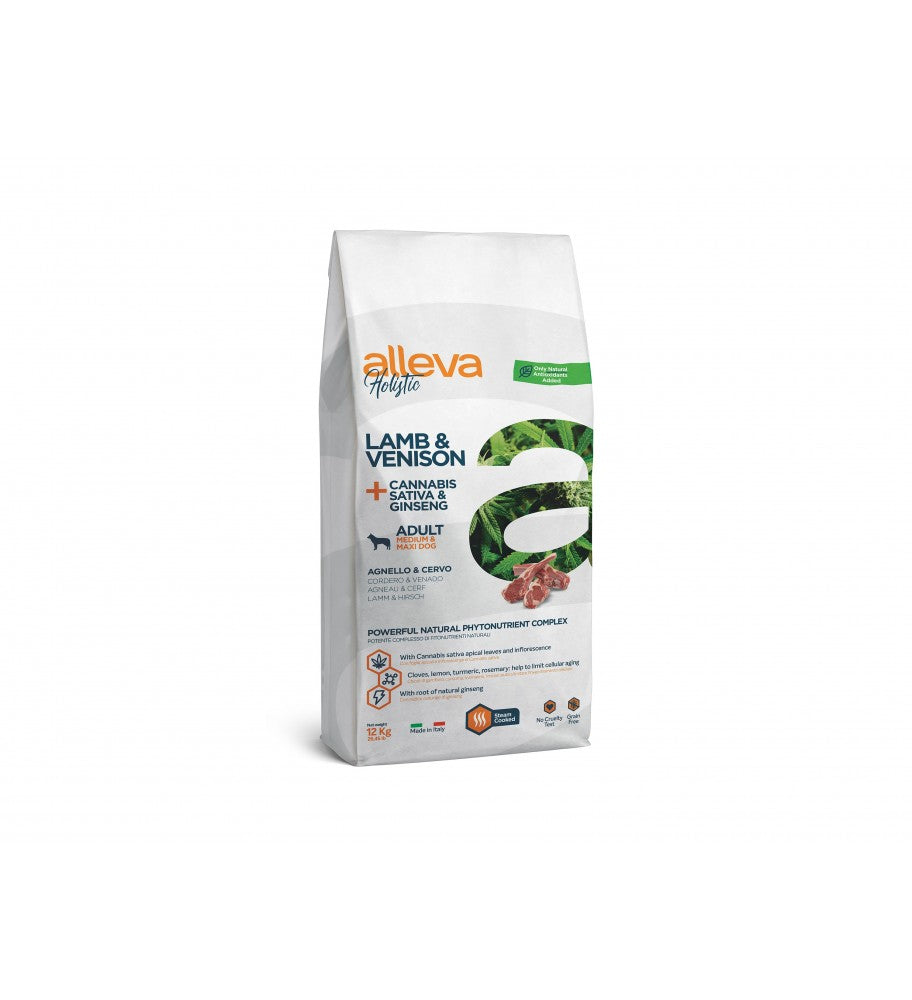 Alleva Holistic – 22.11.2020